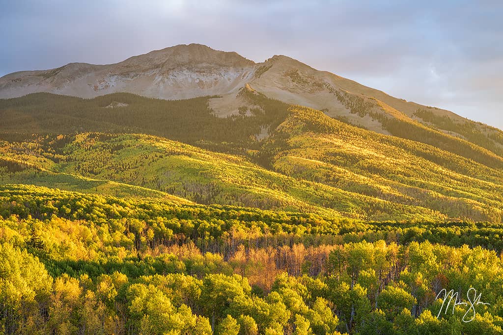 Beckwith Beauty | Kebler Pass, Colorado | Mickey Shannon Photography