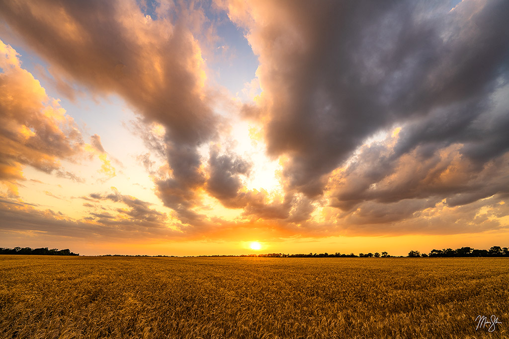 Golden Sunset | South Central Kansas | Mickey Shannon Photography