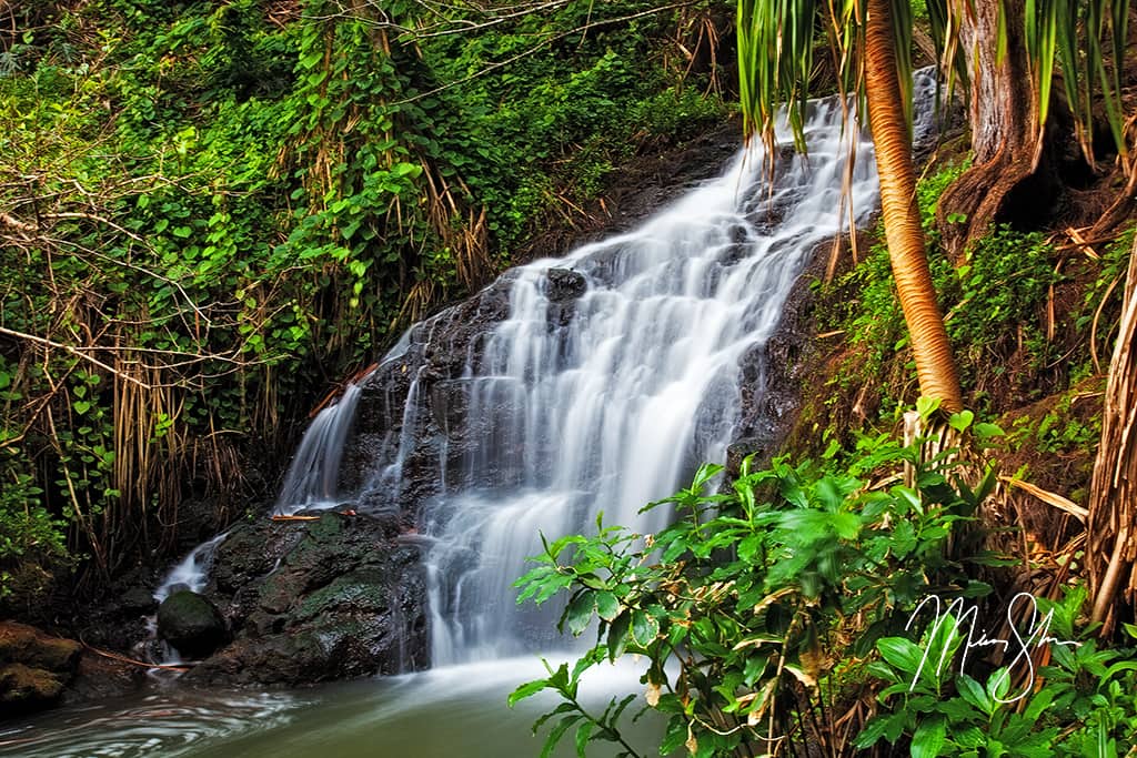 Hawaiian Waterfalls | Queen's Bath, Princeville, Kauai, Hawaii | Mickey ...