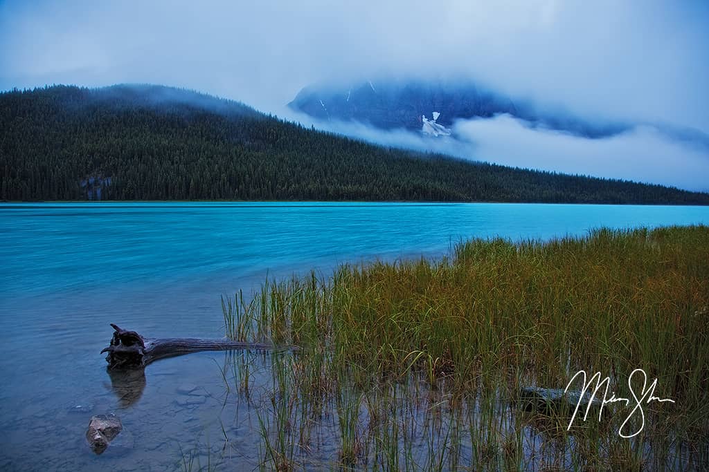 Misty Morning At Waterfowl Lake | Waterfowl Lake, Icefields Parkway ...