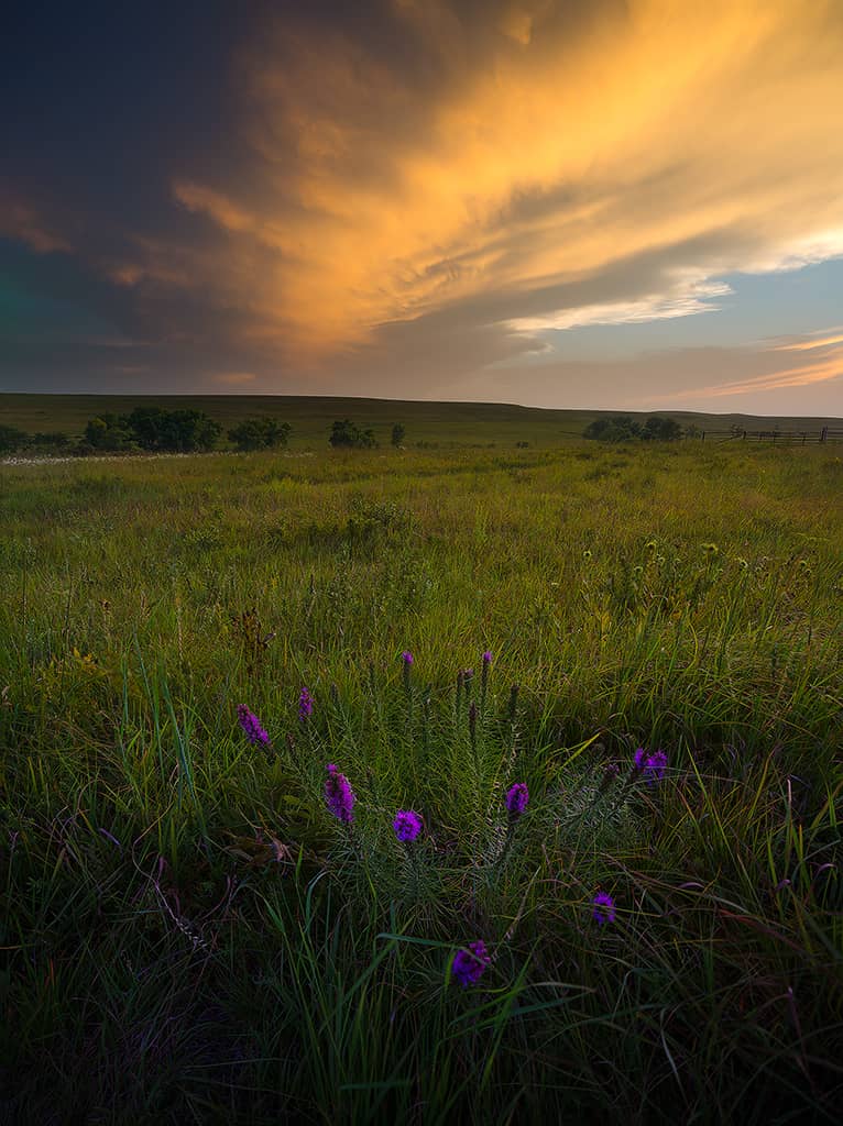 Tallgrass Prairie Summer Sunset | Tallgrass Prairie National Preserve ...