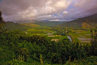 Magical Hanalei Valley | Hanalei Valley, Kauai, Hawaii | Mickey Shannon ...