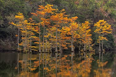 Oklahoma Photography | Mickey Shannon Photography