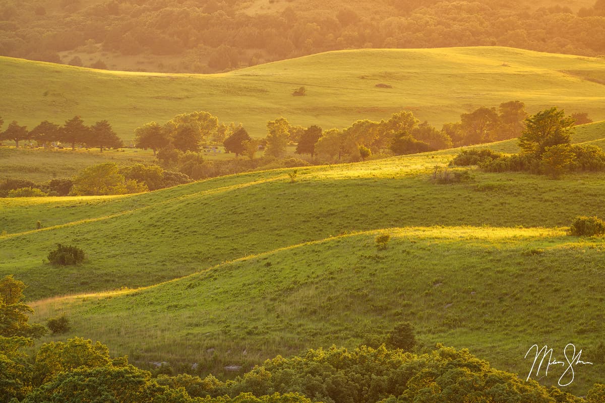Kansas Photography | Mickey Shannon Photography