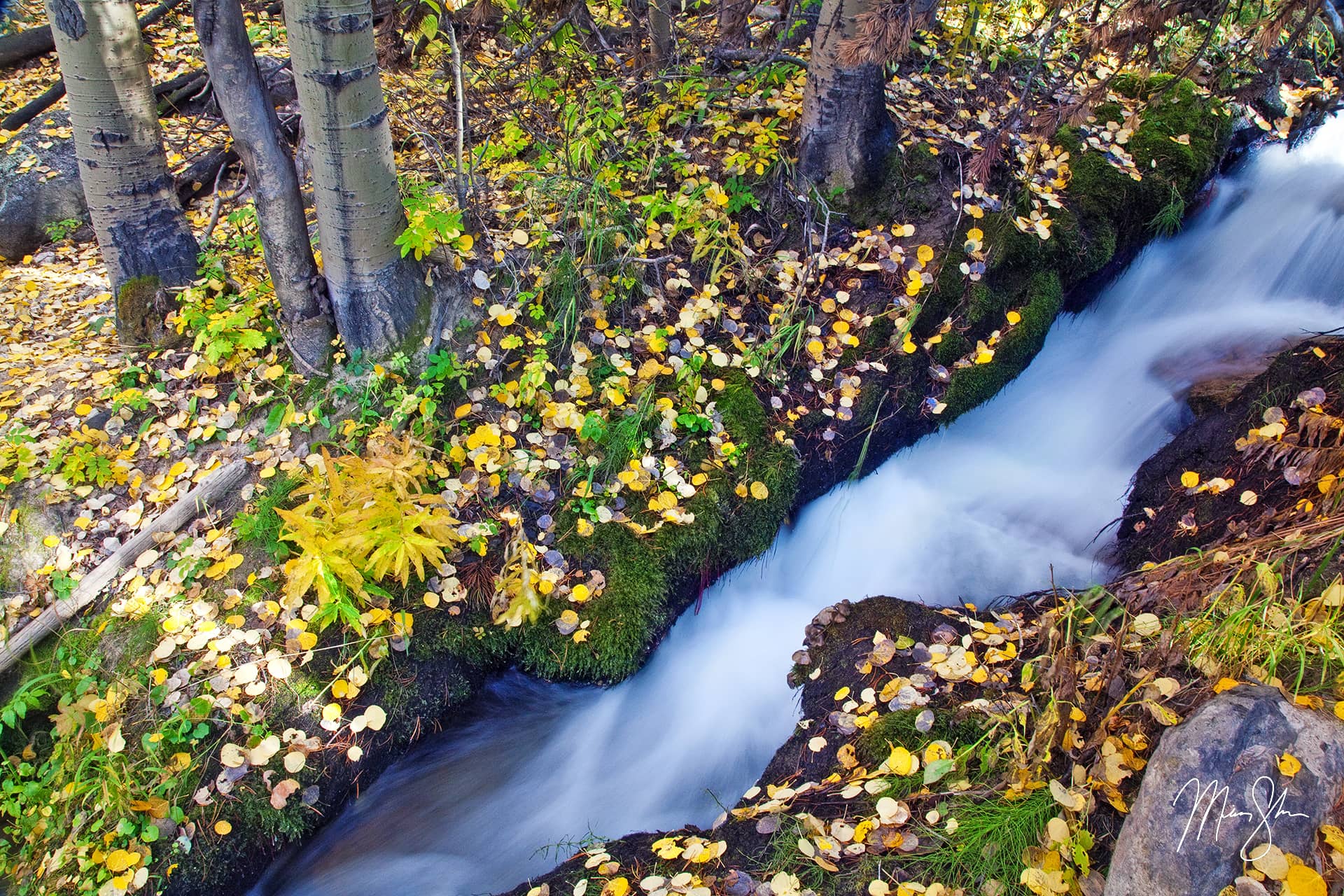 Boulder Brook Autumn Flow | Boulder Brook, Rocky Mountain National Park ...