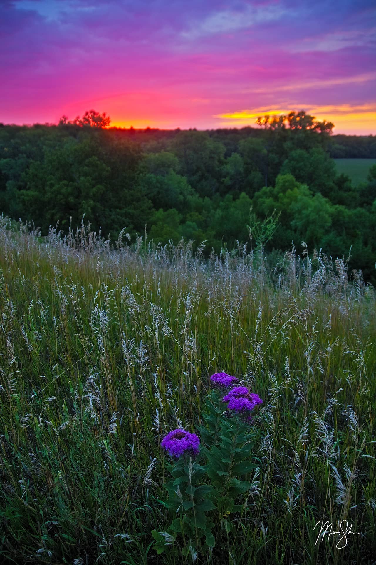 Colorful Kansas Sunset | Geary State Fishing Lake, near Junction City ... Colorful Kansas Sunset | Geary State Fishing Lake, near Junction City ...