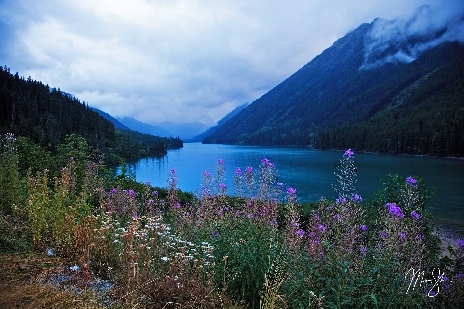 Duffey Lake Flowers | Duffey Lake, British Columbia, Canada | Mickey ...