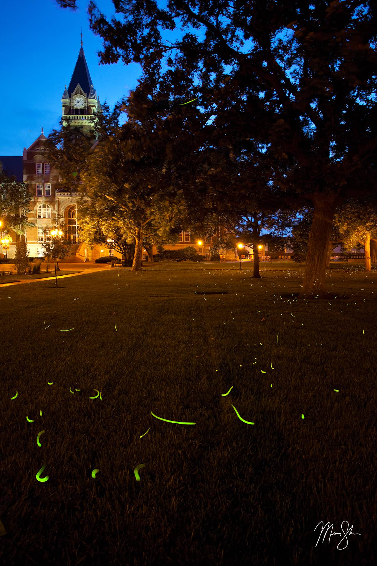 Friends University Fireflies | Friends University, Wichita, Kansas ...