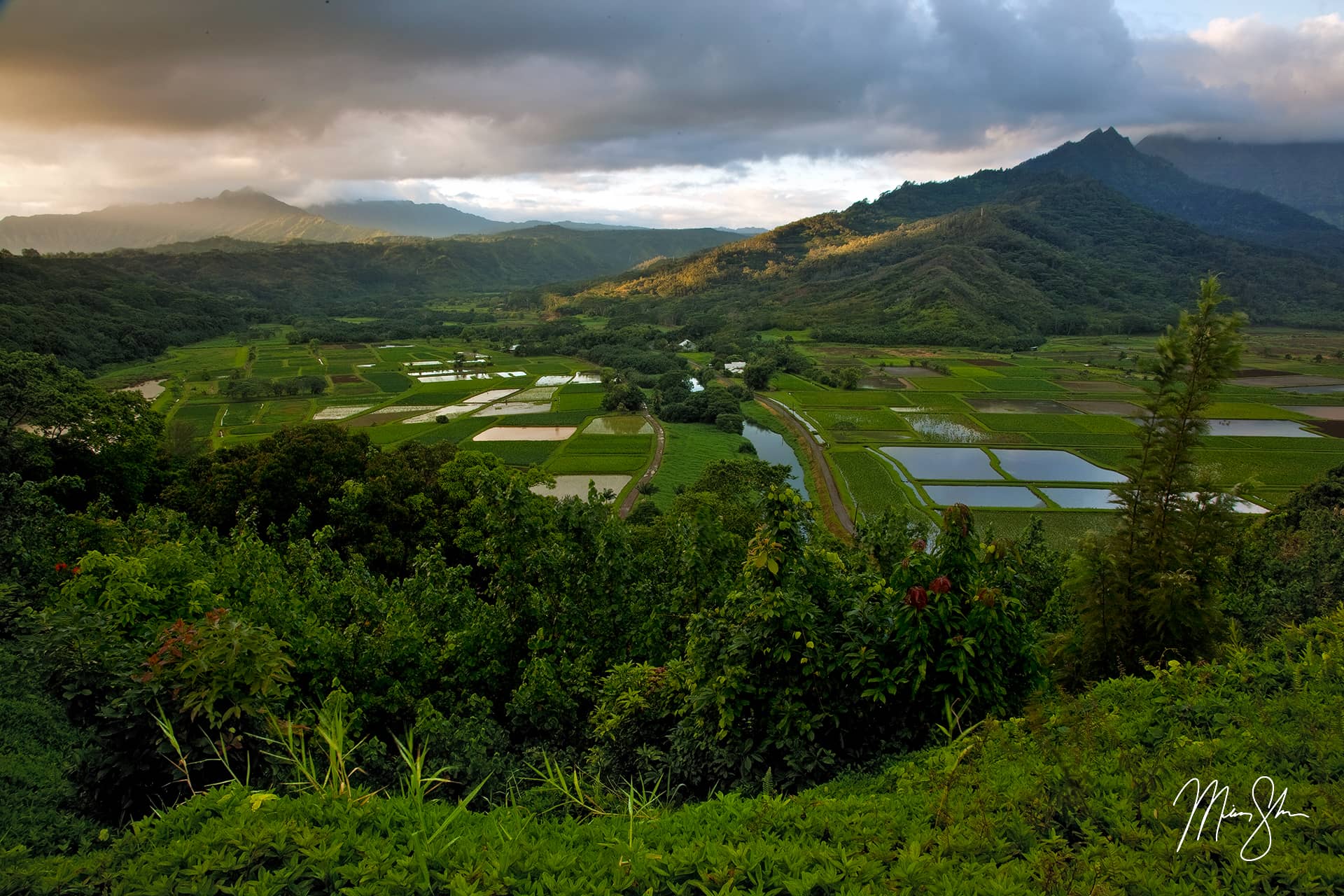 Hanalei Valley Sunrise | Hanalei, Kauai, Hawaii | Mickey Shannon ...