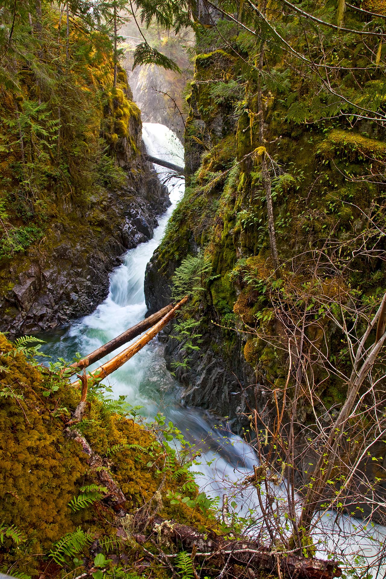 Little Qualicum Falls Canyon | Little Qualicum Falls Canyon, Vancouver ...