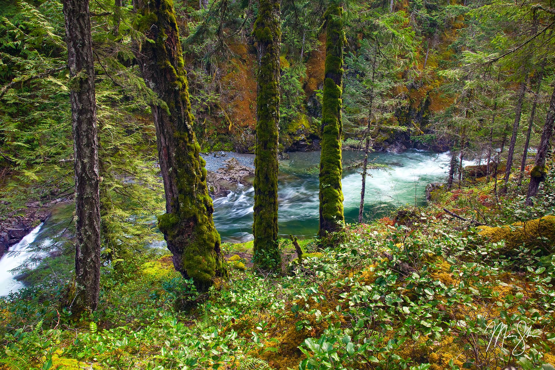 Pacific Rim and Vancouver Island: Pacific Northwest Spring Adventure ...