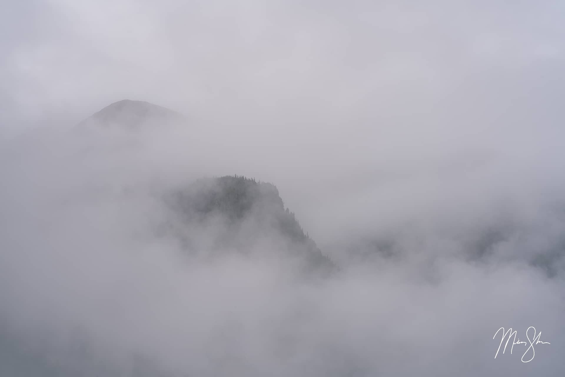 Mist | Great Bear Rainforest, British Columbia, Canada | Mickey Shannon ...