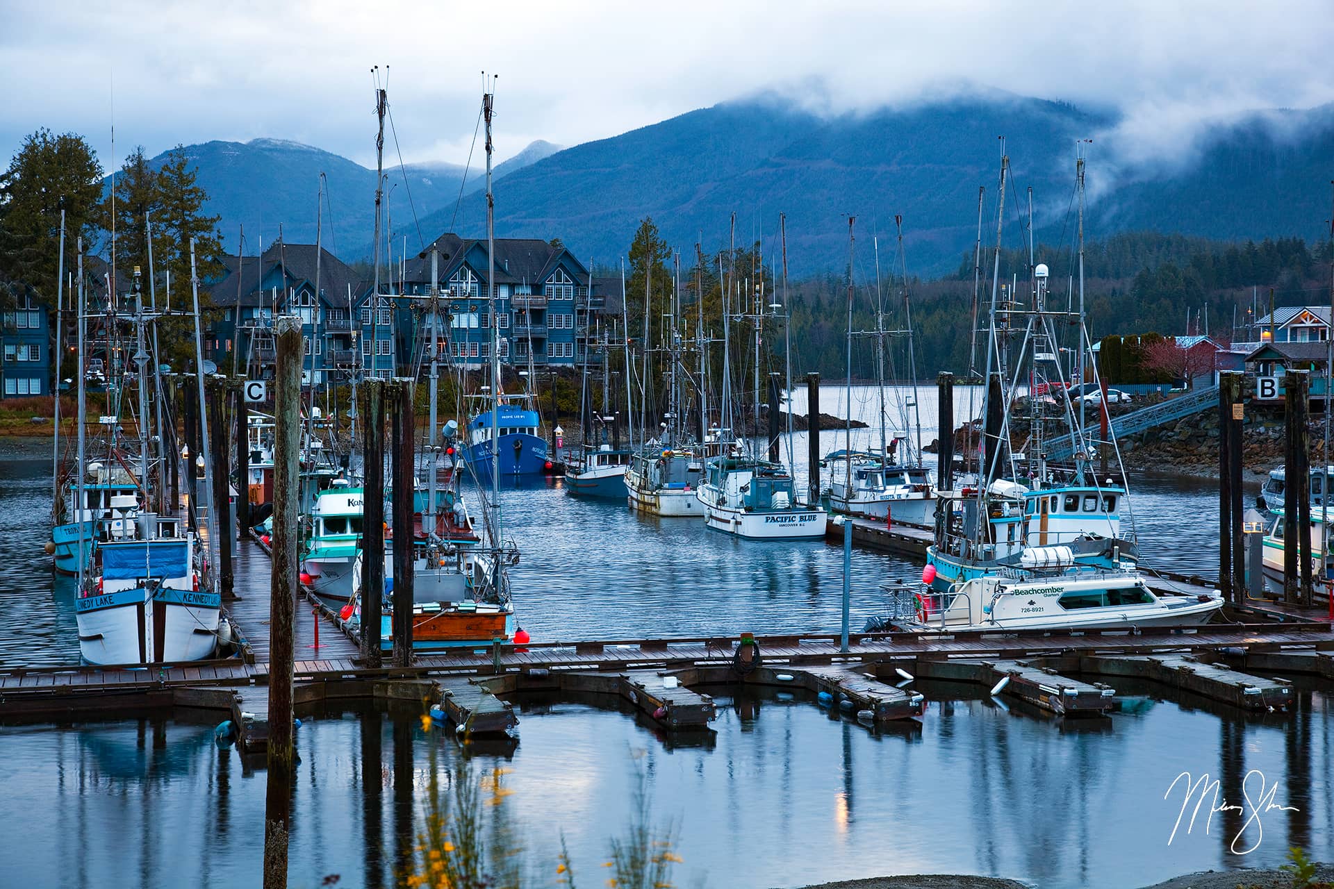 Morning at Ucluelet Harbour | Ucluelet Harbour, Vancouver Island ...