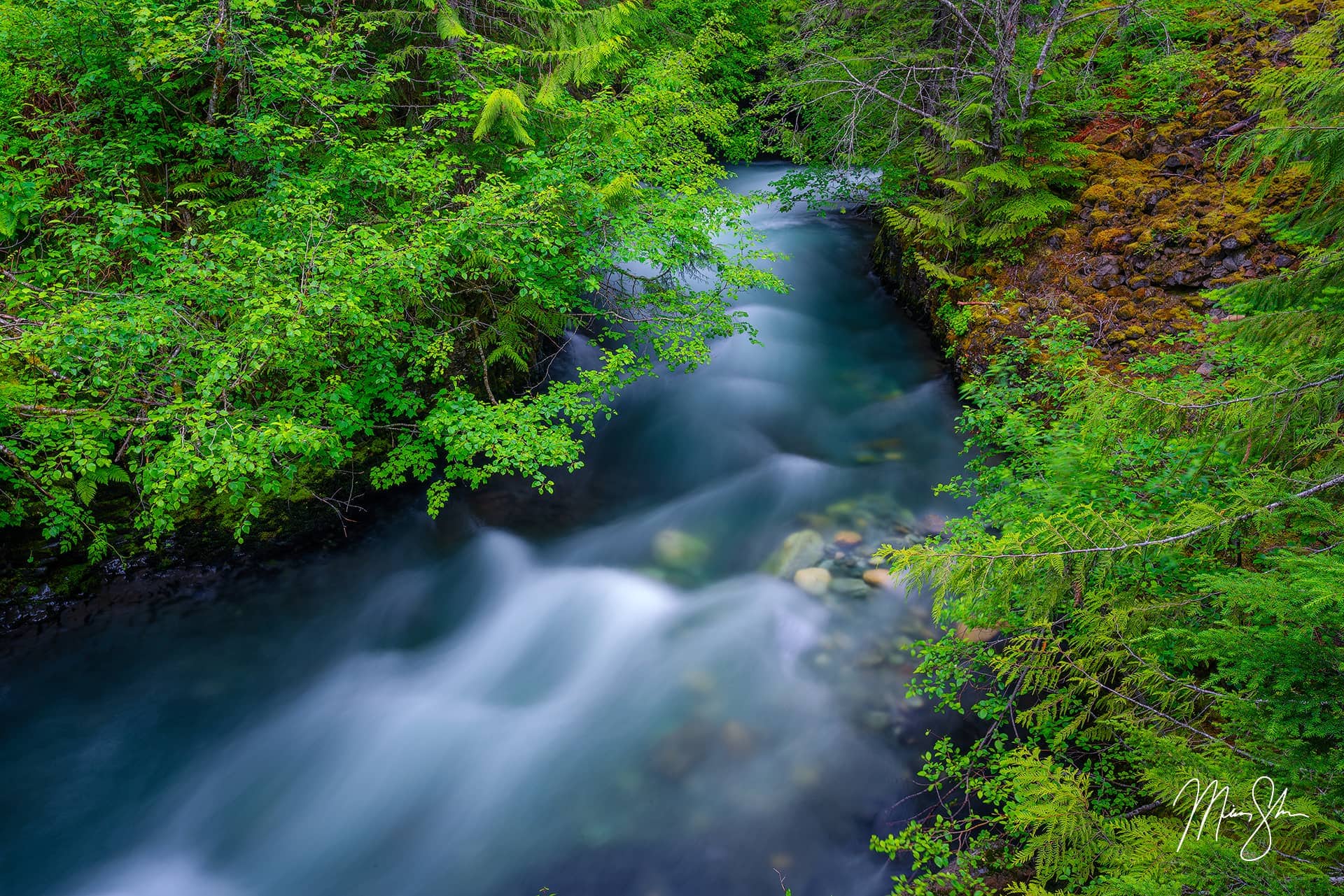 Rainforest Rapids | Brandywine Falls, British Columbia, Canada | Mickey ...