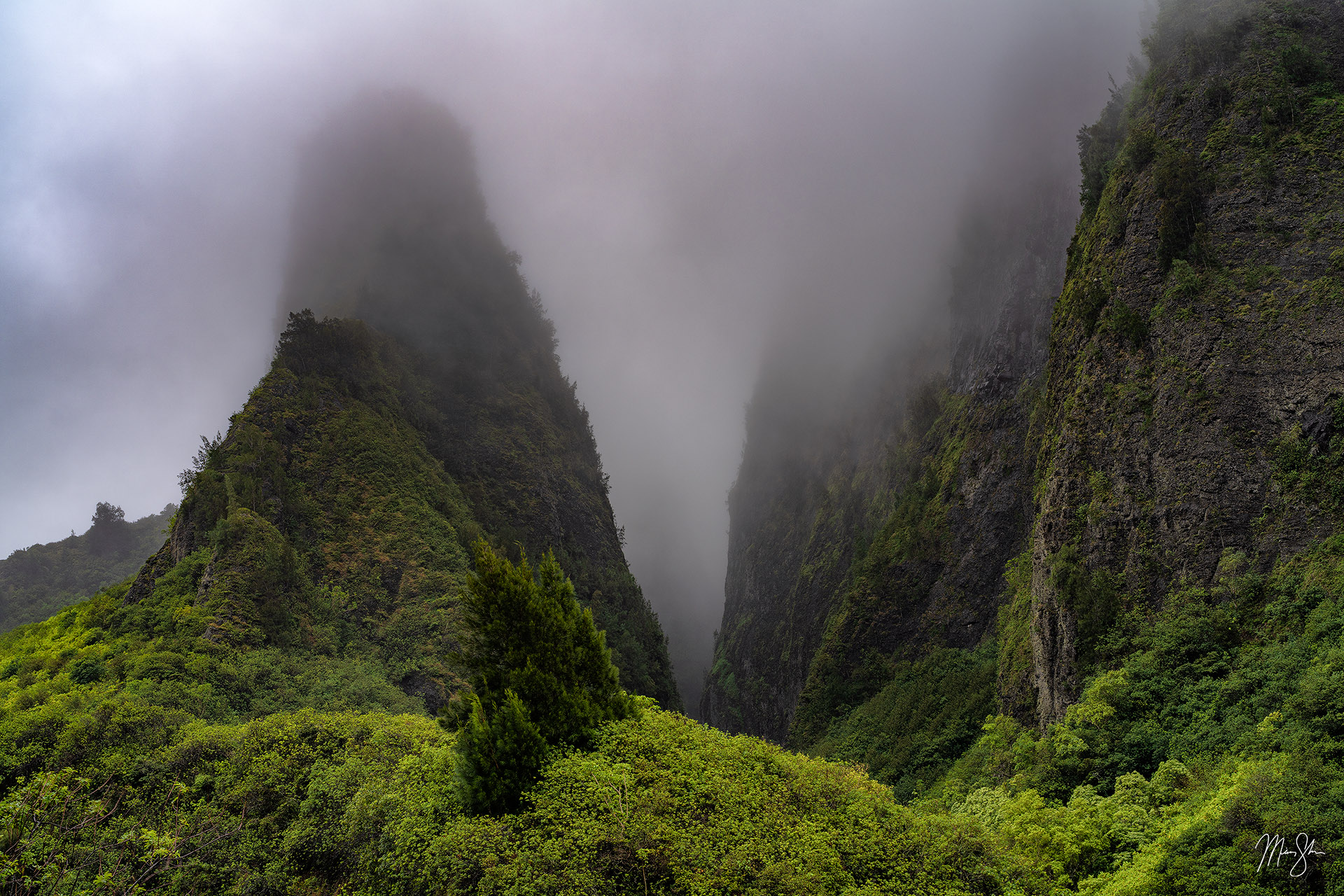 Sacred Ioa Valley | Ioa Valley, Maui, Hawaii | Mickey Shannon Photography