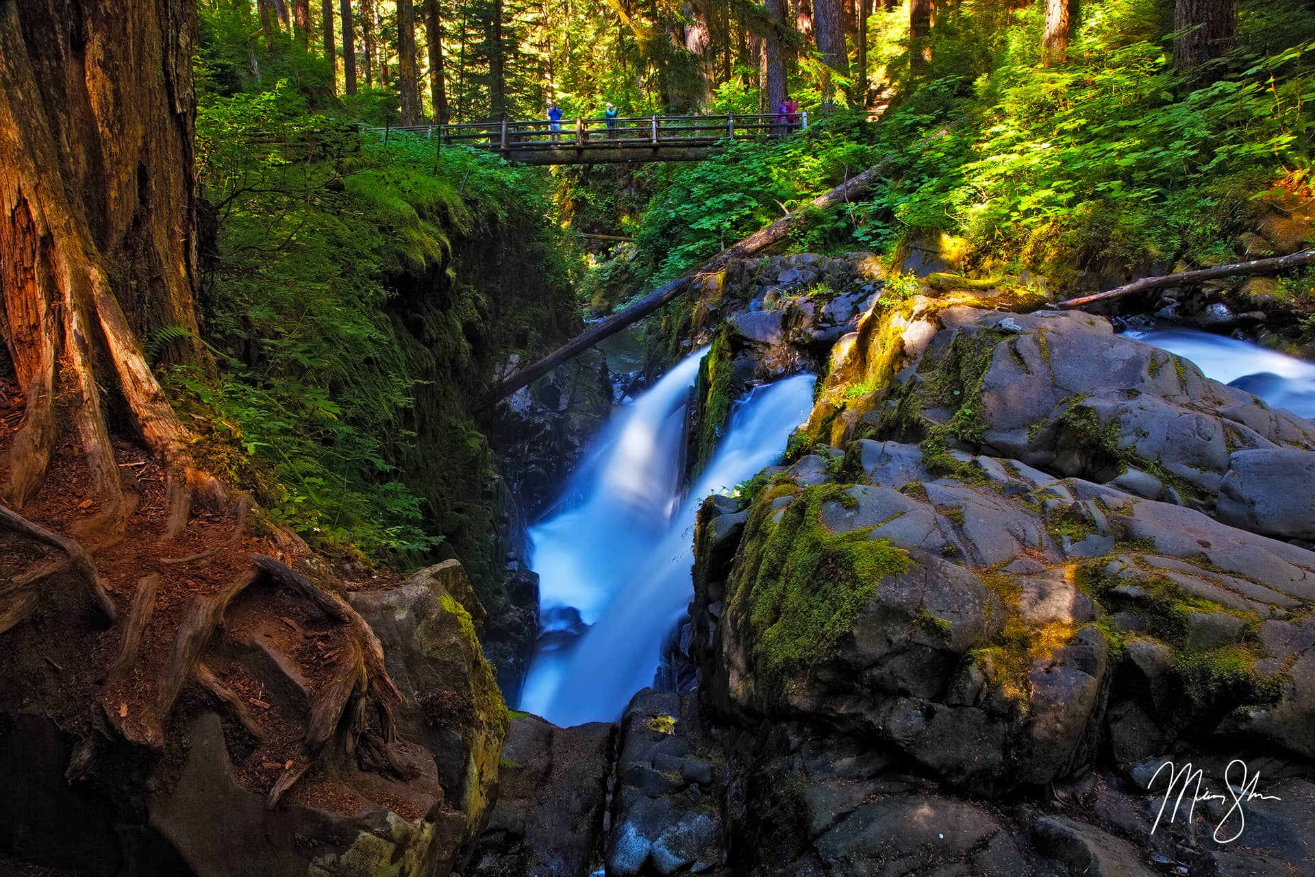 Sol Duc Falls | Sol Duc Falls, Olympic National Park, Washington, USA ...