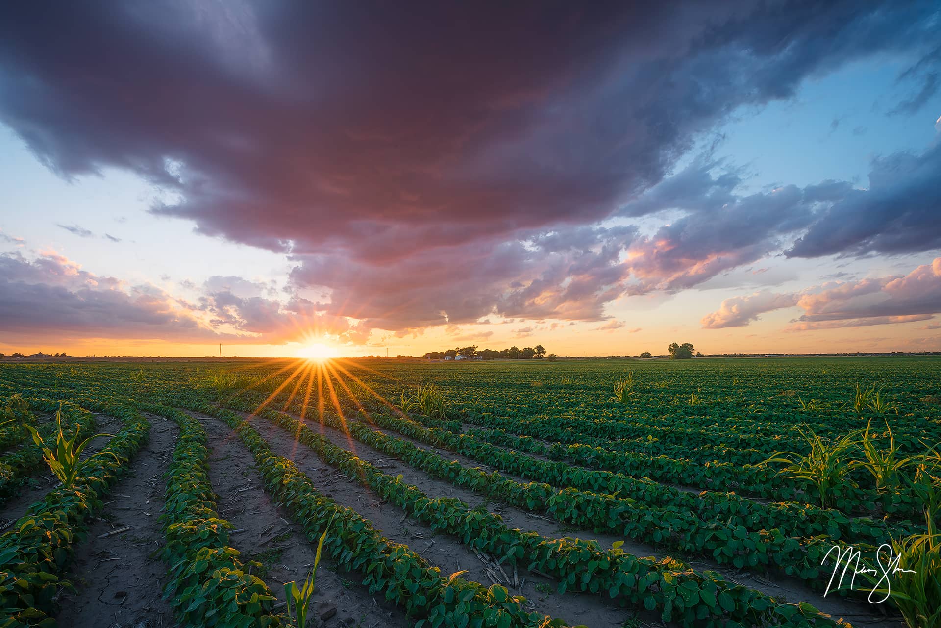 South Central Kansas | Mickey Shannon Photography