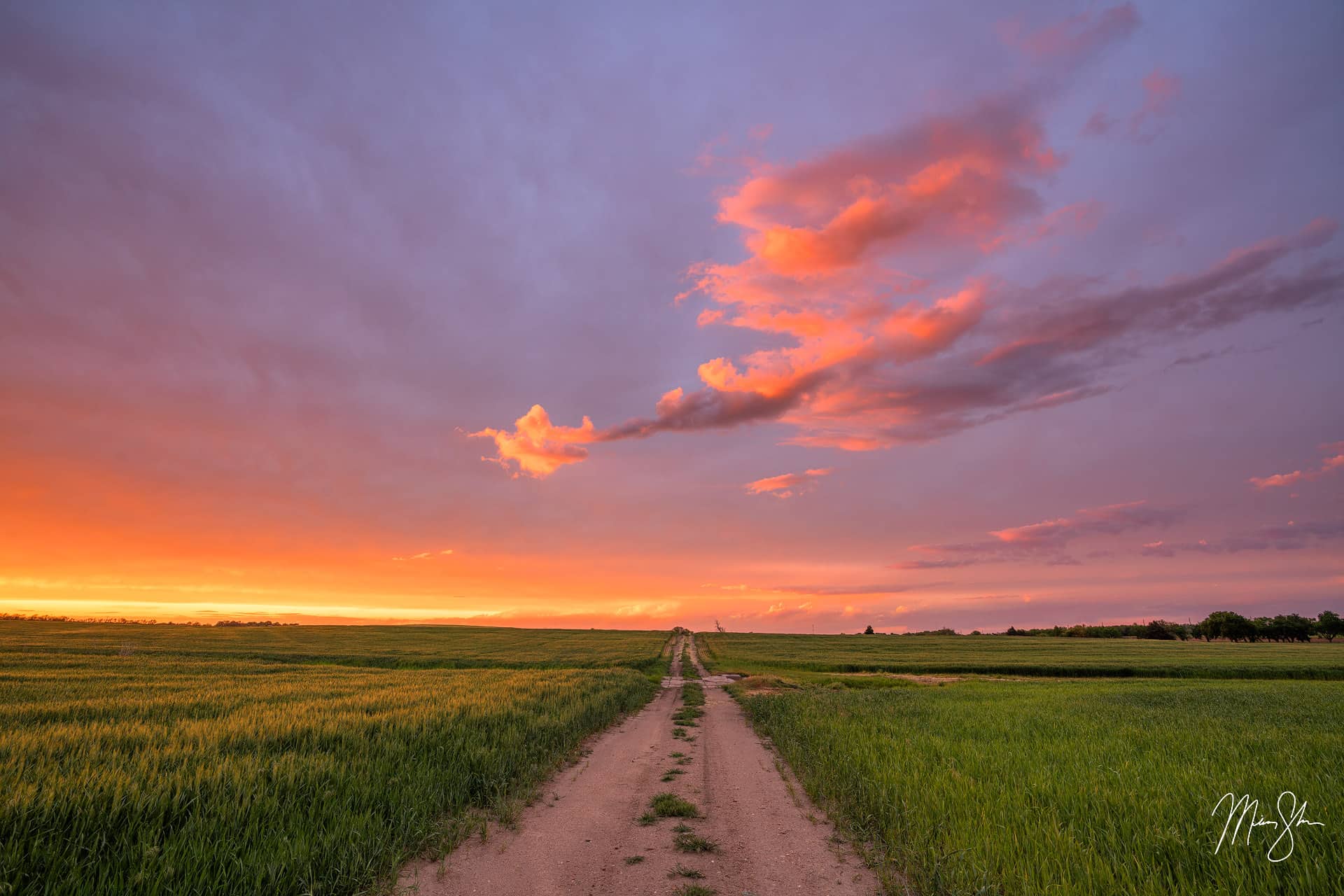 Sunset Road | Goddard, Kansas | Mickey Shannon Photography