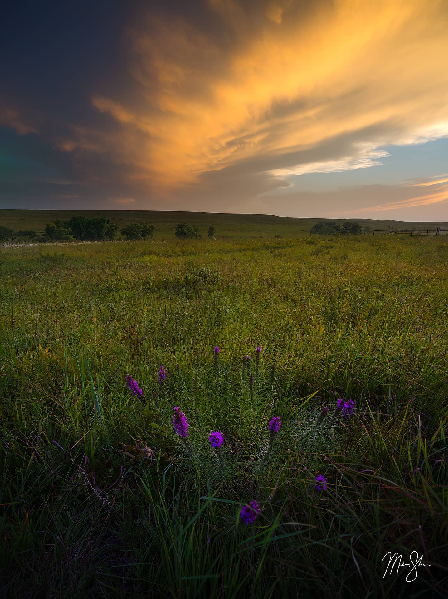 Tallgrass Prairie Summer Sunset | Tallgrass Prairie National Preserve ...