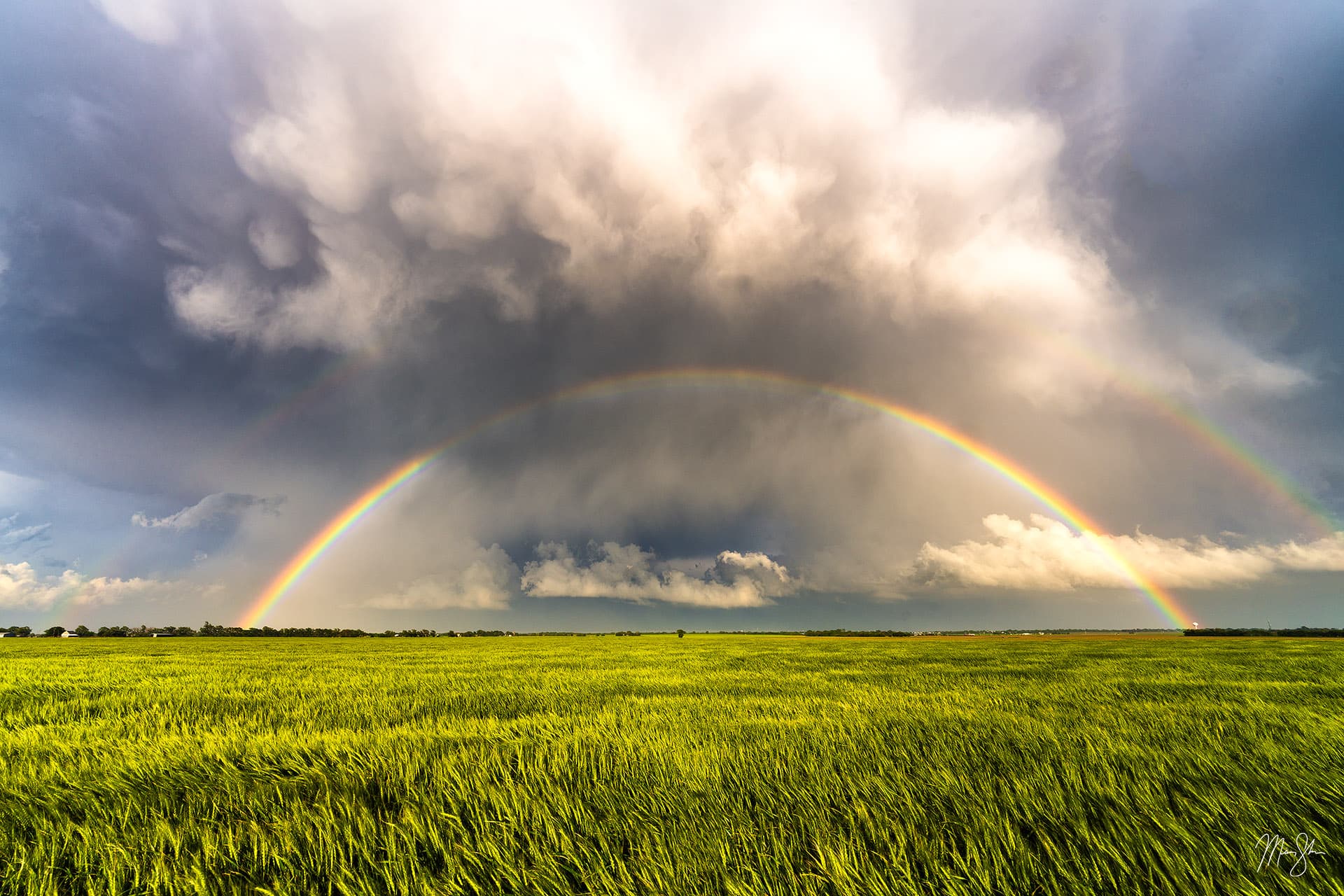 The Eternal Promise | Goddard, Kansas | Mickey Shannon Photography