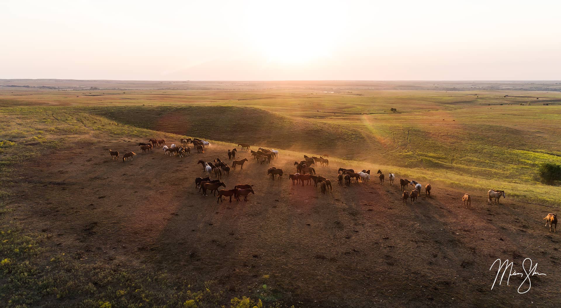 The Wild Horses of the Flint Hills | Teter Rock, Flint Hills, Kansas ...