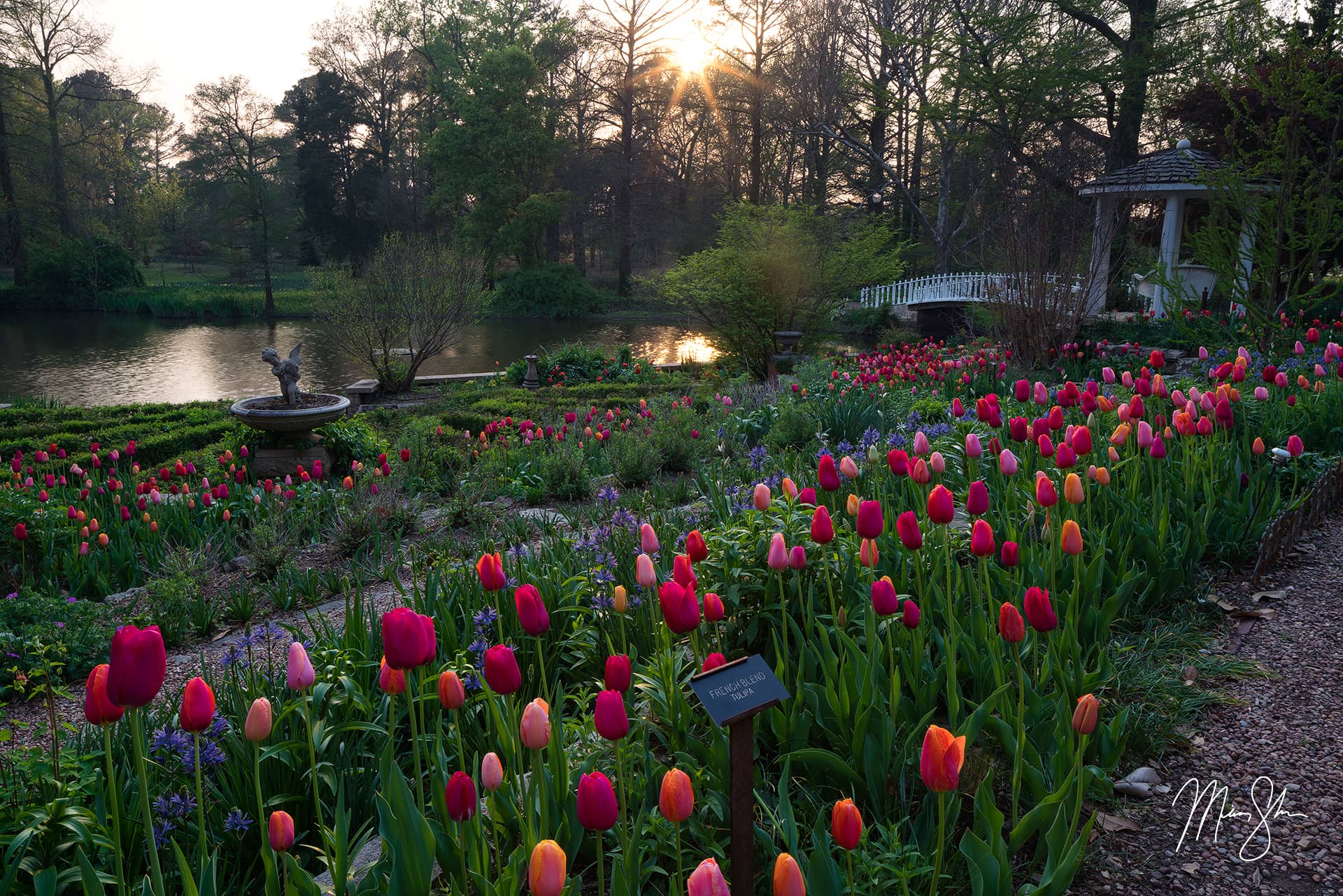 Tulip Time at Bartlett Arboretum | Bartlett Arboretum, Belle Plaine ...