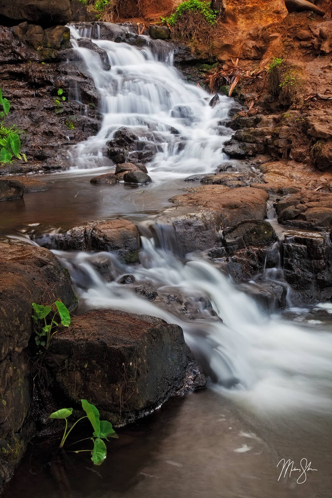 Waterfalls Above the Queen's Bath | Queen's Bath, Princeville, Kauai ...