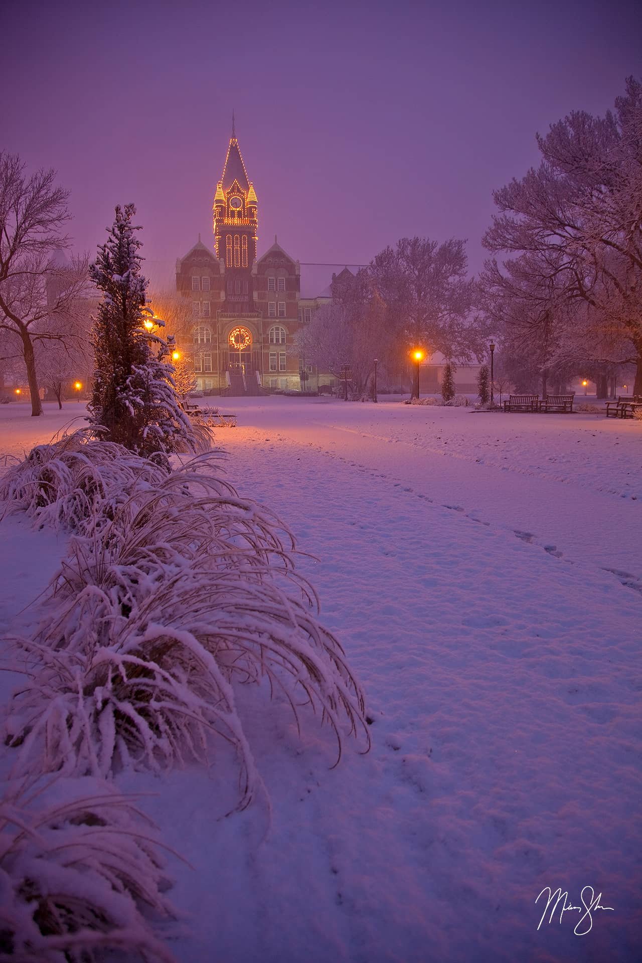 Winter Lights of Friends University Davis Clocktower | Friends ...
